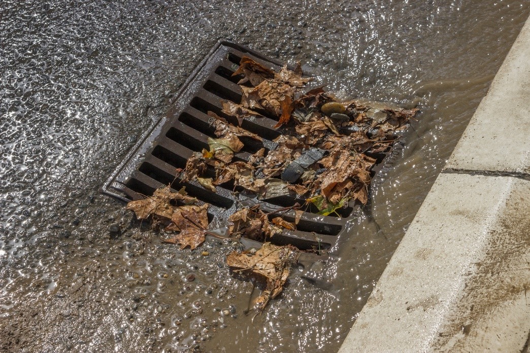 3 Tips for Storm Drain Maintenance - Premier Plumbing & Leak Detection
